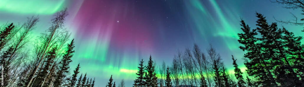 Alaska’s Northern Lights & Iditarod | March 4-13, 2026